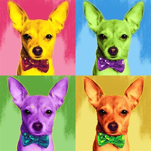 Custom Pop Art Portraits | 28+ Pop Art Styles | myDaVinci