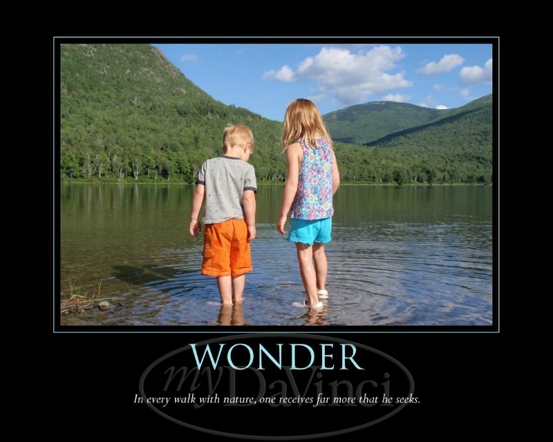 Wonder
