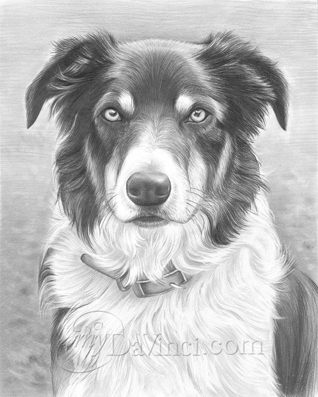 Custom Pencil Portrait Handmade Pencil Drawing From Your Photo